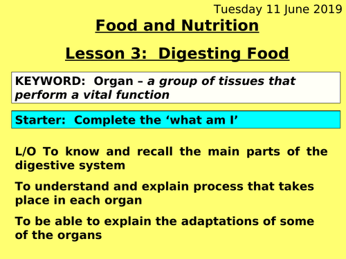 AQA KS3 YEAR 8 BIOLOGY - ORGANISMS | Teaching Resources