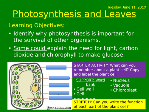 AQA KS3 YEAR 8 - BIOLOGY - ECOSYSTEMS | Teaching Resources