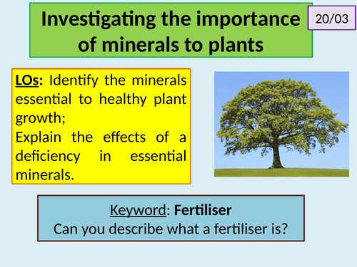 AQA KS3 YEAR 8 - BIOLOGY - ECOSYSTEMS | Teaching Resources