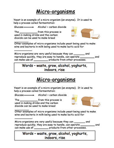 AQA KS3 YEAR 8 - BIOLOGY - ECOSYSTEMS | Teaching Resources