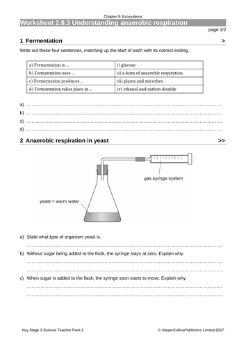 AQA KS3 YEAR 8 - BIOLOGY - ECOSYSTEMS | Teaching Resources