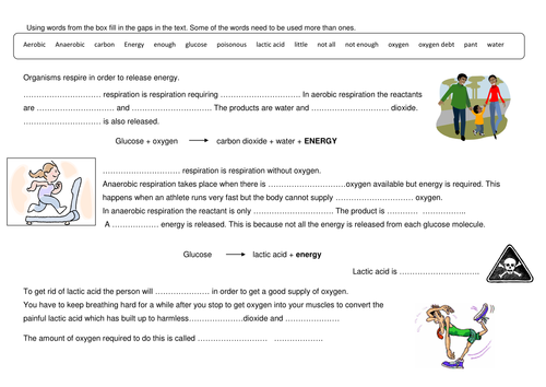 AQA KS3 YEAR 8 - BIOLOGY - ECOSYSTEMS | Teaching Resources