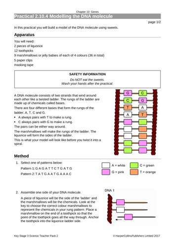 AQA KS3 YEAR 8 BIOLOGY - GENES | Teaching Resources