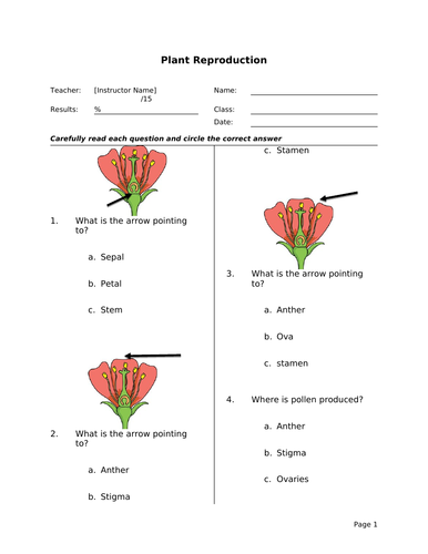 KS3 Year 7 Science Revision quiz / mini tests | Teaching Resources