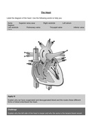 Edexcel GCSE PE - Component 1: Anatomy & Physiology (Lesson Resources ...
