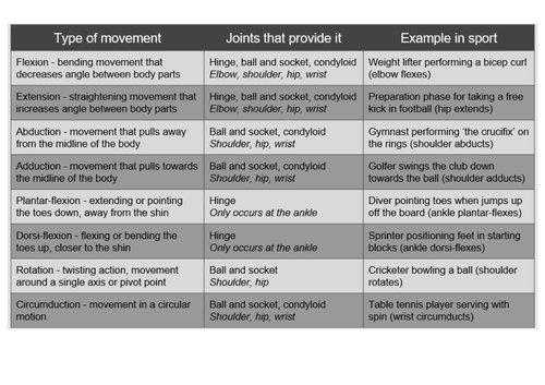 Edexcel GCSE PE - Component 1: Anatomy & Physiology (Lesson Resources ...