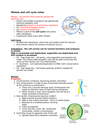 Edexcel A Level Biology A - Topic 2 Organelles, Genes, Mitosis & Cell ...
