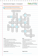 Human Reproductive System - Crossword (KS2/3) | Teaching Resources