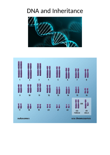 Genes Chromosomes and Inheritance | Teaching Resources