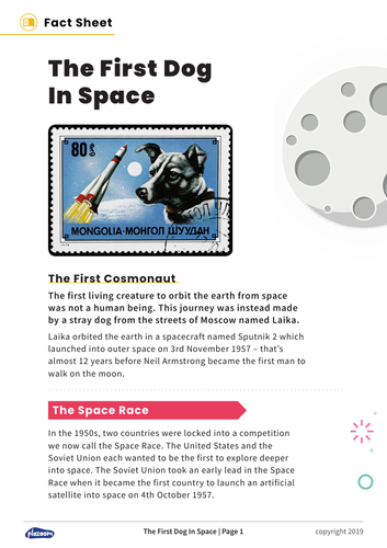 Laika: The First Dog In Space – Non-Fiction and Comprehension Questions ...