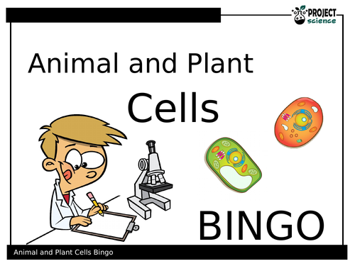 Animal and Plant Cells Bingo | Teaching Resources
