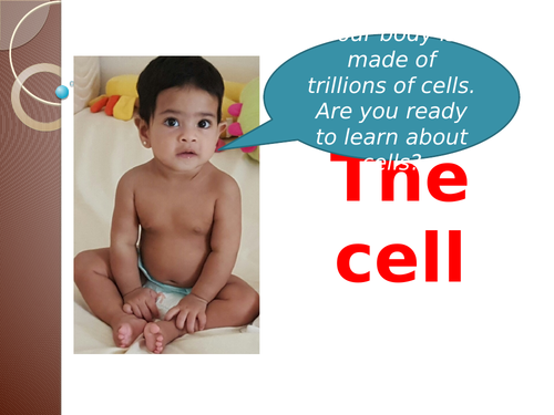 IGCSE Biology PPT - The Cell | Teaching Resources