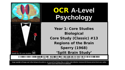 OCR A-Level Psychology: Core Study #13 Sperry (1968) Split Brain Study ...