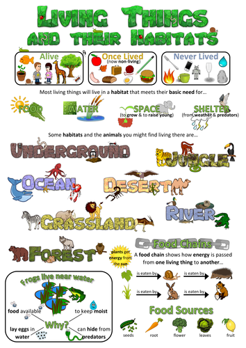Year 2 Science Poster - Living things and their habitats | Teaching ...