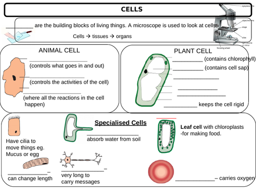 Year 7 Revision slides with pupil's blank version | Teaching Resources