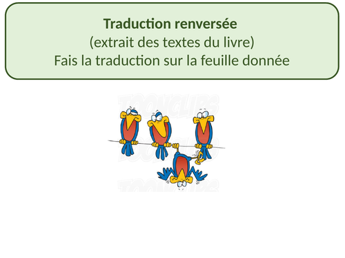 IB French B l'environnement mondial | Teaching Resources