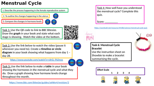 Menstrual Cycle Independent Activity - KS3 / KS4 | Teaching Resources