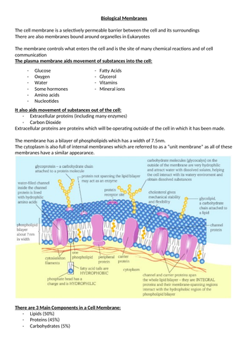 Notes on all of OCR A Biology A Level | Teaching Resources