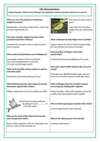 Life Documentary | Teaching Resources