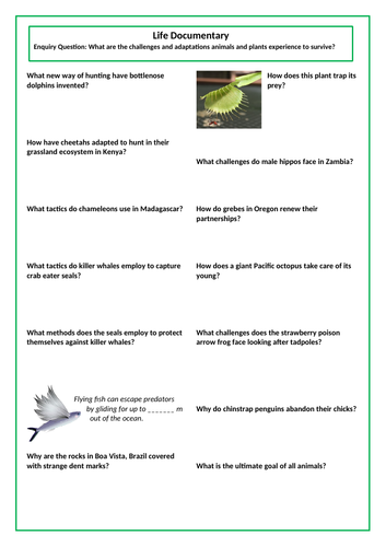 Life Documentary | Teaching Resources