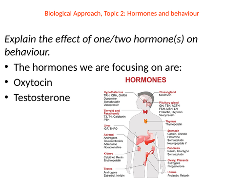 IB Psychology Hormones and behaviour | Teaching Resources