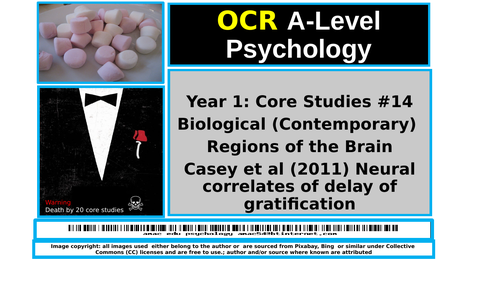 OCR A-Level Psychology: Core Studies 11 to 20. All in one bundle ...