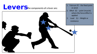 Biomechanics, Levers, A Level PE, GCSE PE | Teaching Resources