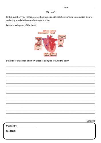 KS4 AQA GCSE Biology (Science) The Heart Lesson & Activities | Teaching ...