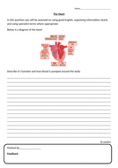 KS4 AQA GCSE Biology (Science) The Heart Lesson & Activities | Teaching ...