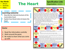 KS4 AQA GCSE Biology (Science) The Heart Lesson & Activities | Teaching ...