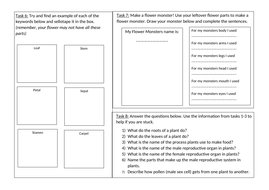 Plant anatomy & flower dissection | Teaching Resources