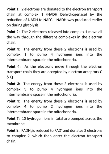 A Level Biology ATP Synthesis & Electron Transport Chain Lesson ...