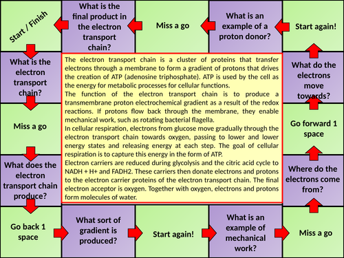 A Level Biology ATP Synthesis & Electron Transport Chain Lesson ...
