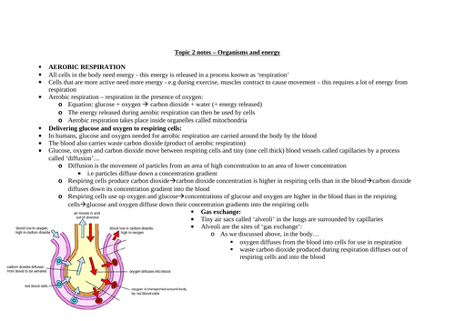 Biology notes for revision | Teaching Resources
