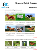 Primary Science Quick Quizzes Year 2 | Teaching Resources