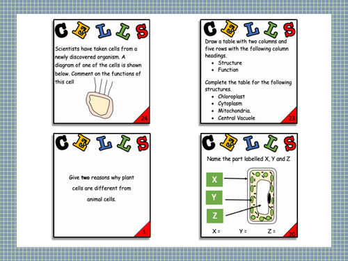 Plant and Animal Cells - Structure, Differences and Specialisation 24 ...