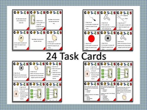 Plant and Animal Cells - Structure, Differences and Specialisation 24 ...