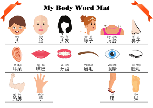My Body Parts Bundle (Mandarin Chinese) - 身体部位 | Teaching Resources
