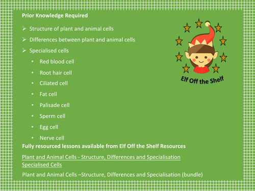 Plant and Animal Cells - Structure, Differences and Specialisation ...