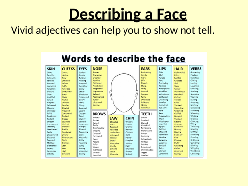 Bank of ambitious vocabulary to describe a human face - creative ...