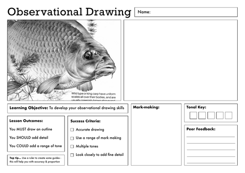 Observational Drawing Worksheet | Teaching Resources