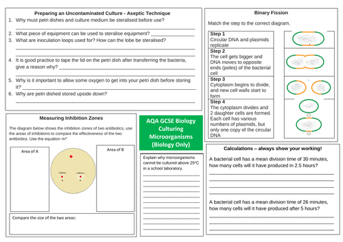 AQA Cell Biology Revision Mats | Teaching Resources