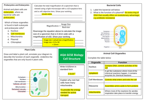 AQA Cell Biology Revision Mats | Teaching Resources