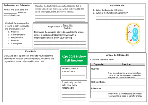 AQA Cell Biology Revision Mats | Teaching Resources