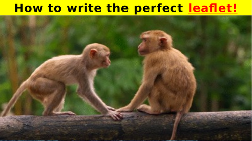 Writing a tourist attraction LEAFLET (Monkey World) - Functional Skills ...