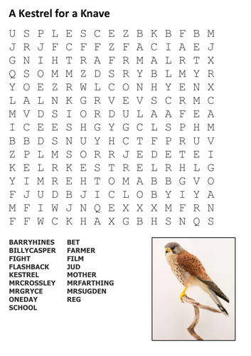 Kes - A Kestrel for a Knave Word Search | Teaching Resources