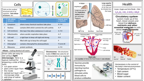KS3 Cells and Health Knowledge Organiser/ Revision Mat | Teaching Resources