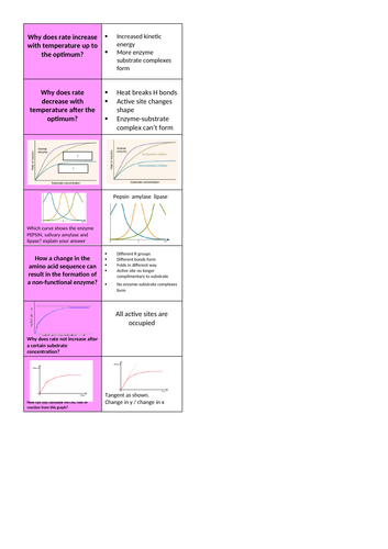 AQA A level biology ENZYMES | Teaching Resources