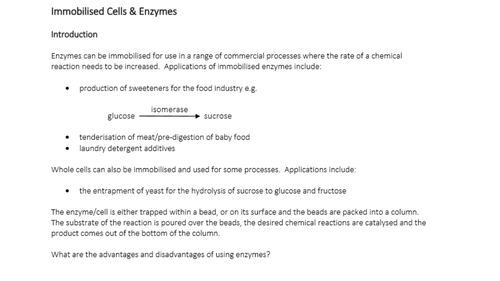AQA A level biology ENZYMES | Teaching Resources