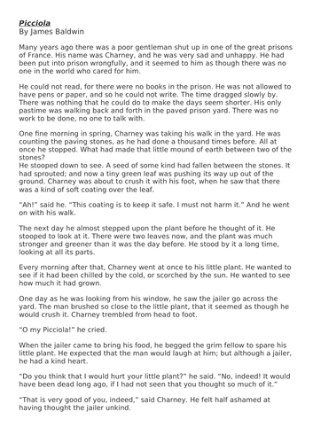 James Baldwin Reading Program | Teaching Resources